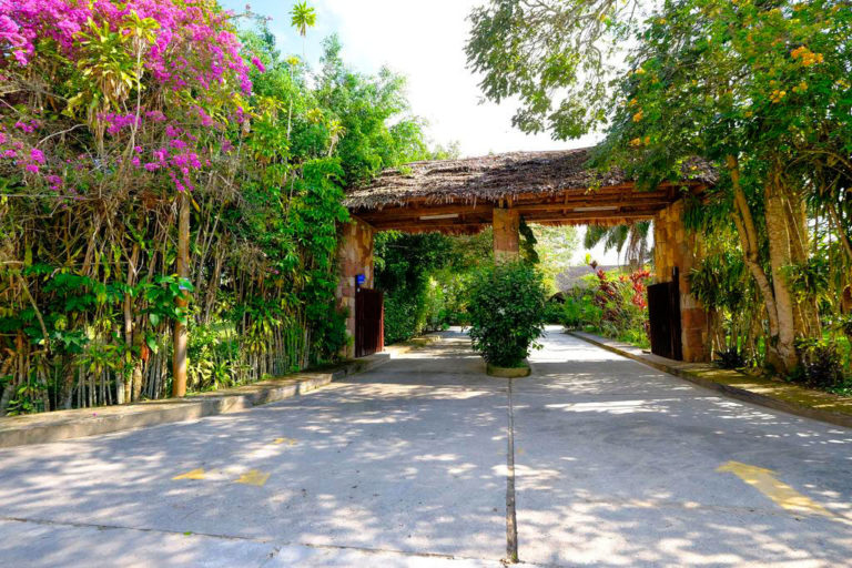 Qué hacer en Moyobamba. Itinerario de viaje para