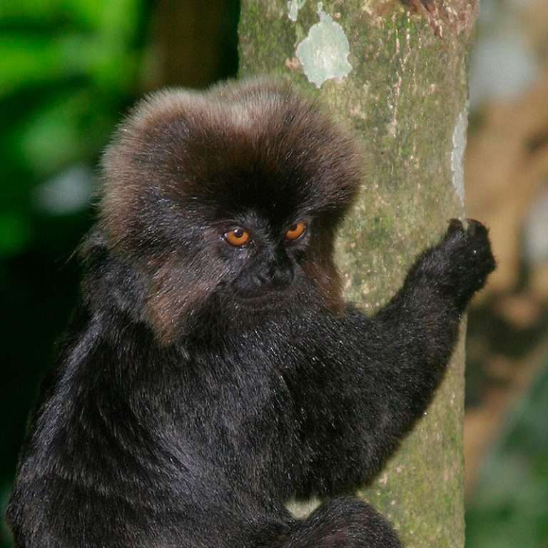 Perú qué hacer, tanto por su comida, su gente y lugares